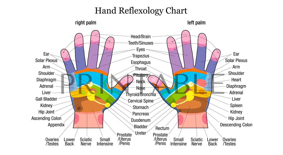 Hand Reflexology Chart: Anatomy Poster (digital Download) - Etsy UK