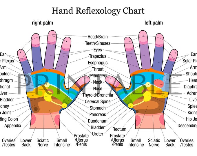 Acupressure Reflexology Chart With Precise Hand Diagrams. Professional Print. - Etsy Canada
