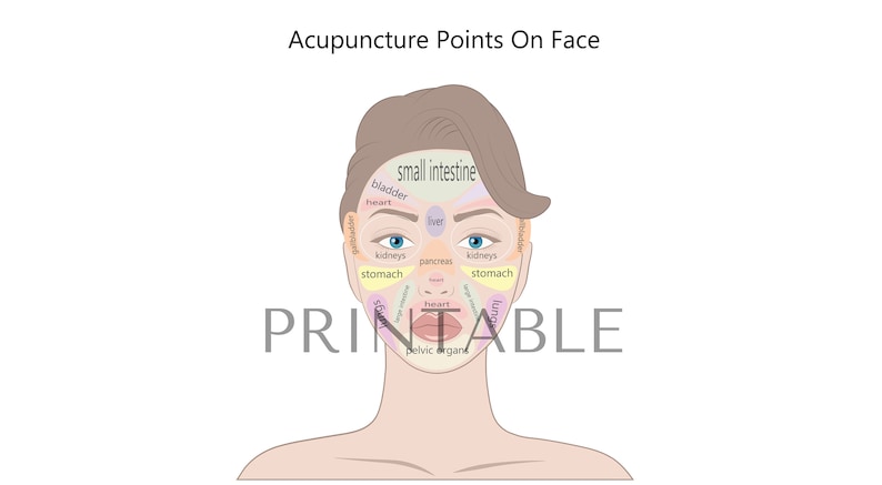 Acupuncture Points on Face Chart: Chinese Medicine Art (digital ...