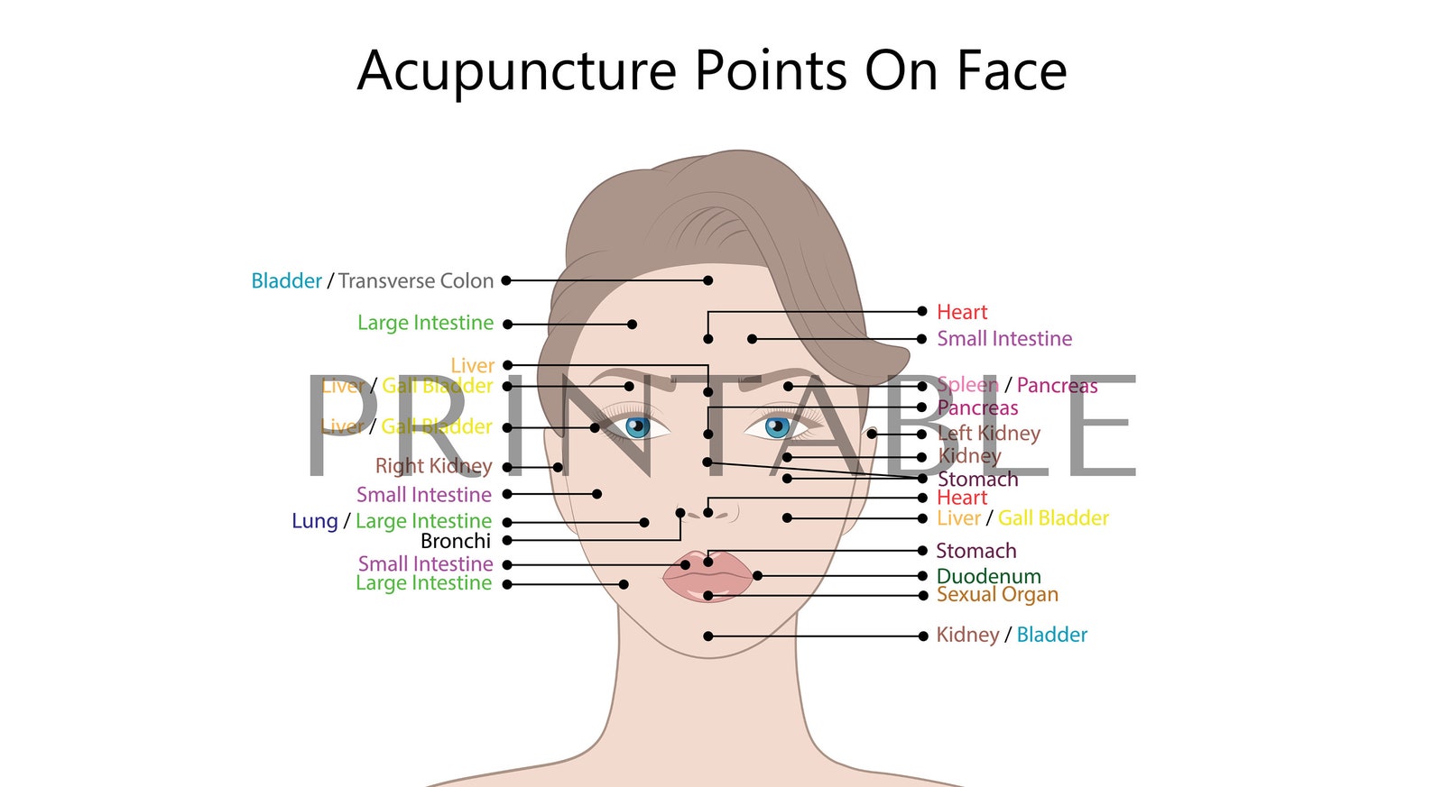 Acupuncture Points on Face Chart: Chinese Medicine Art (digital ...