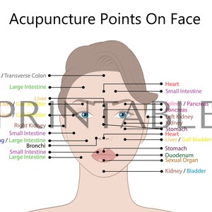 Acupuncture Points on Face Chart: Chinese Medicine Art (digital ...