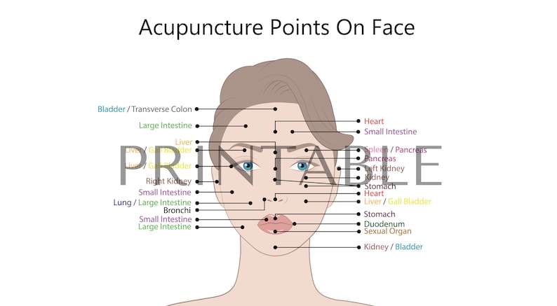 Acupuncture Points on Face, Acupuncture Chart, Acupressure Points ...