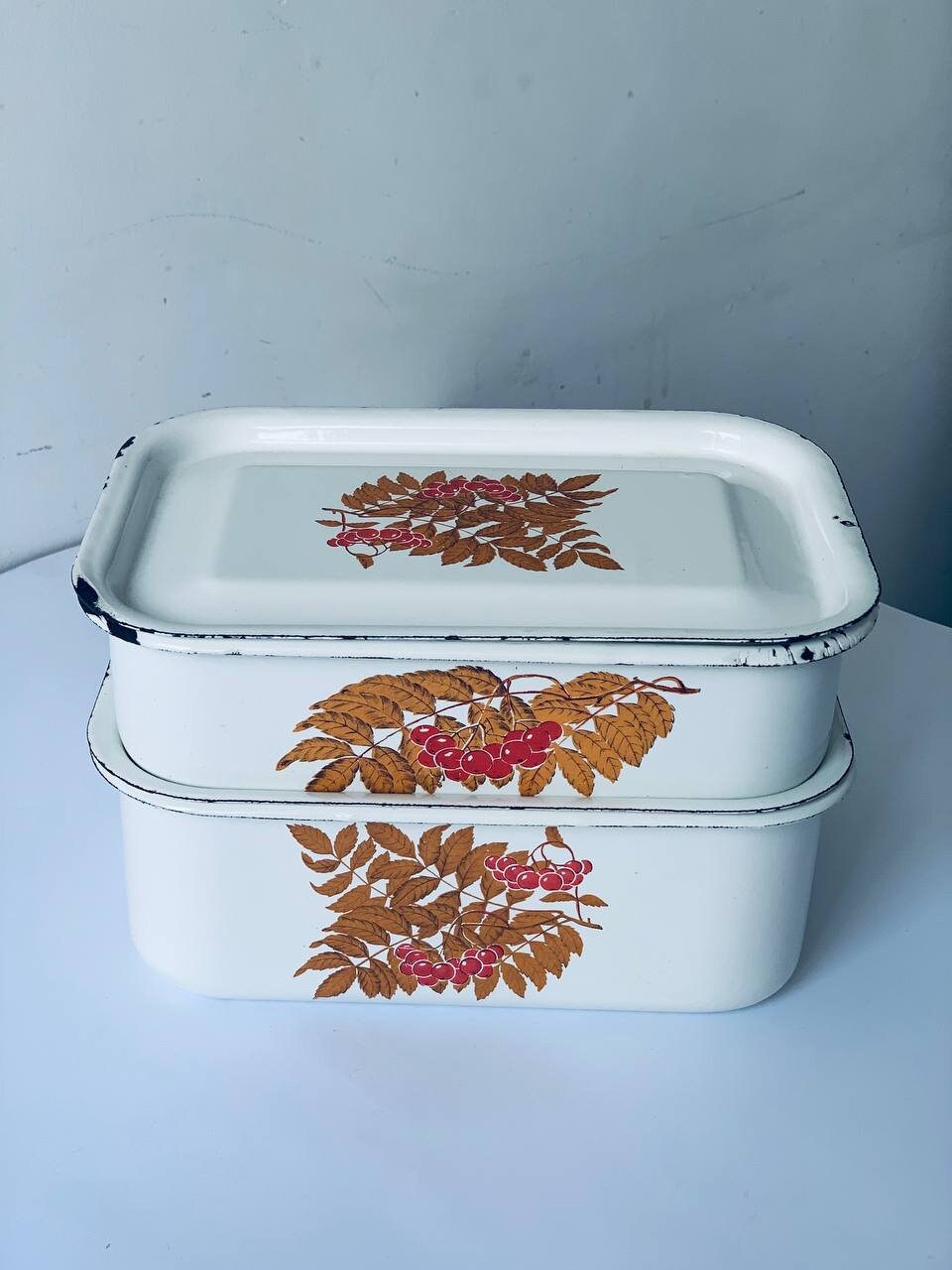 Set of 2 Food Containers Vintage Enamelware Container With Lid Metal ...