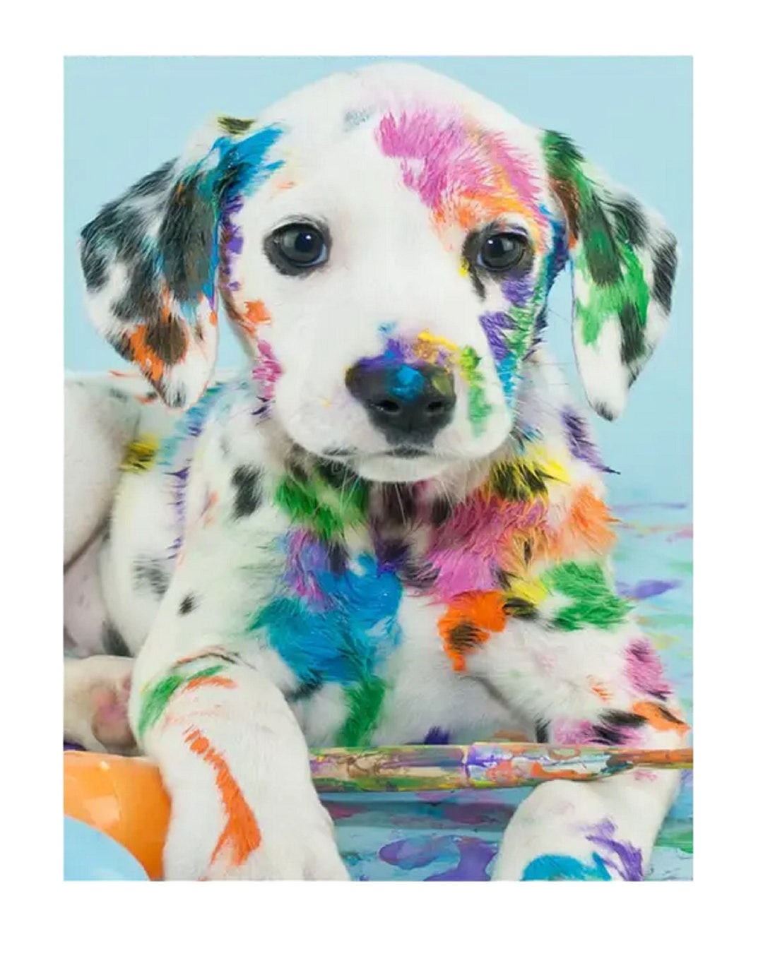 Pastel Dalmation Puppy - DIY 5D Rhinestone Diamond Painting Kit ...