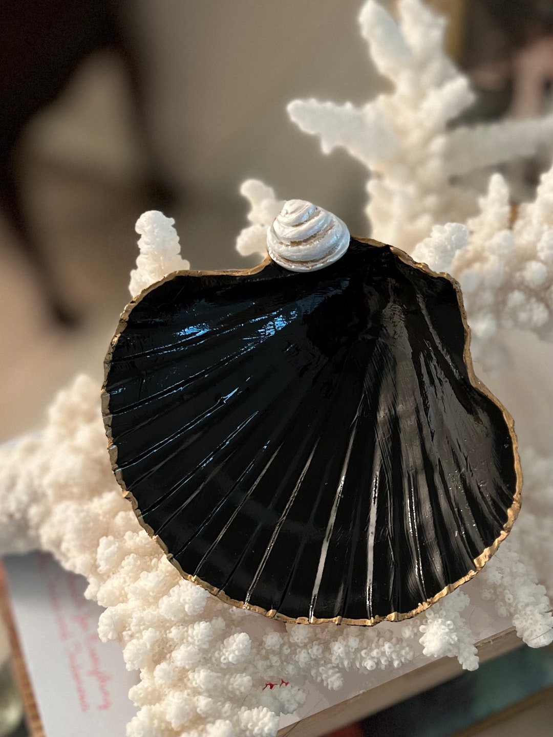 Black Scallop Shell Jewelry/trinket Dish Pawleys Island - Etsy