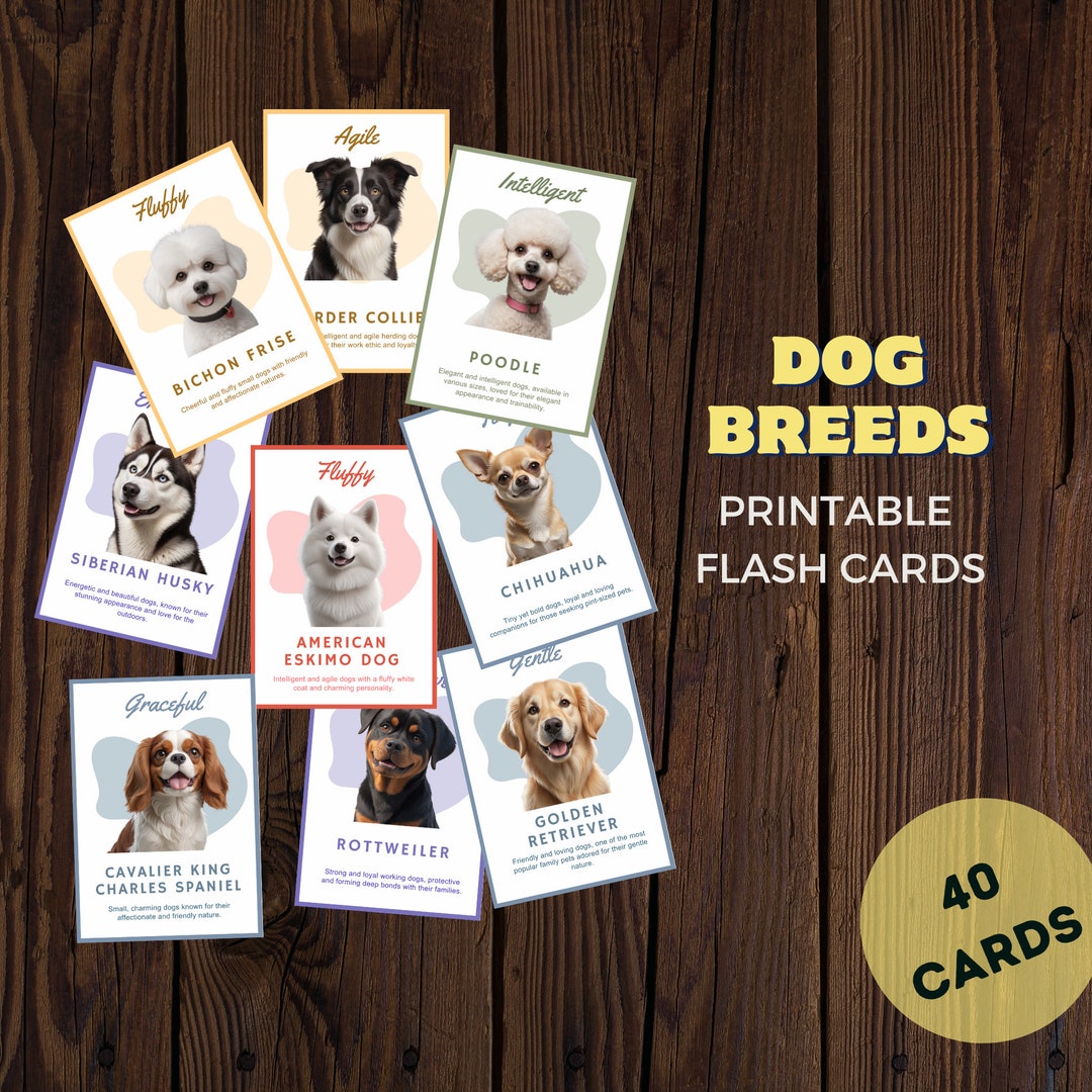 Printable Dog Breed Flashcards - 40 Cards | Educational PDF Download ...