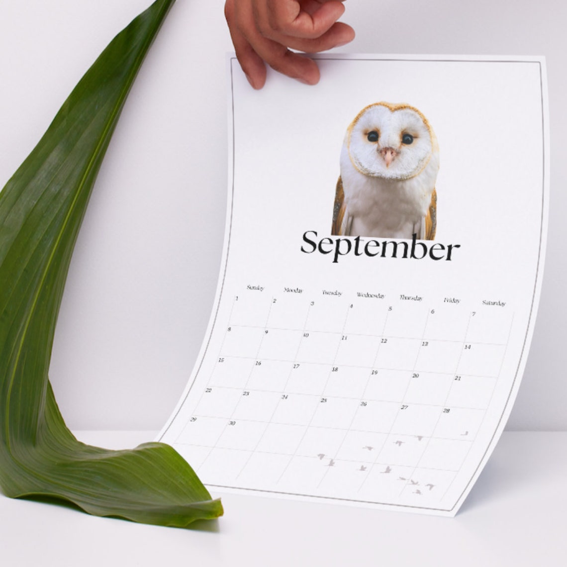 2024 Printable Calendar | Animal Printable Calendar Template | Instant ...