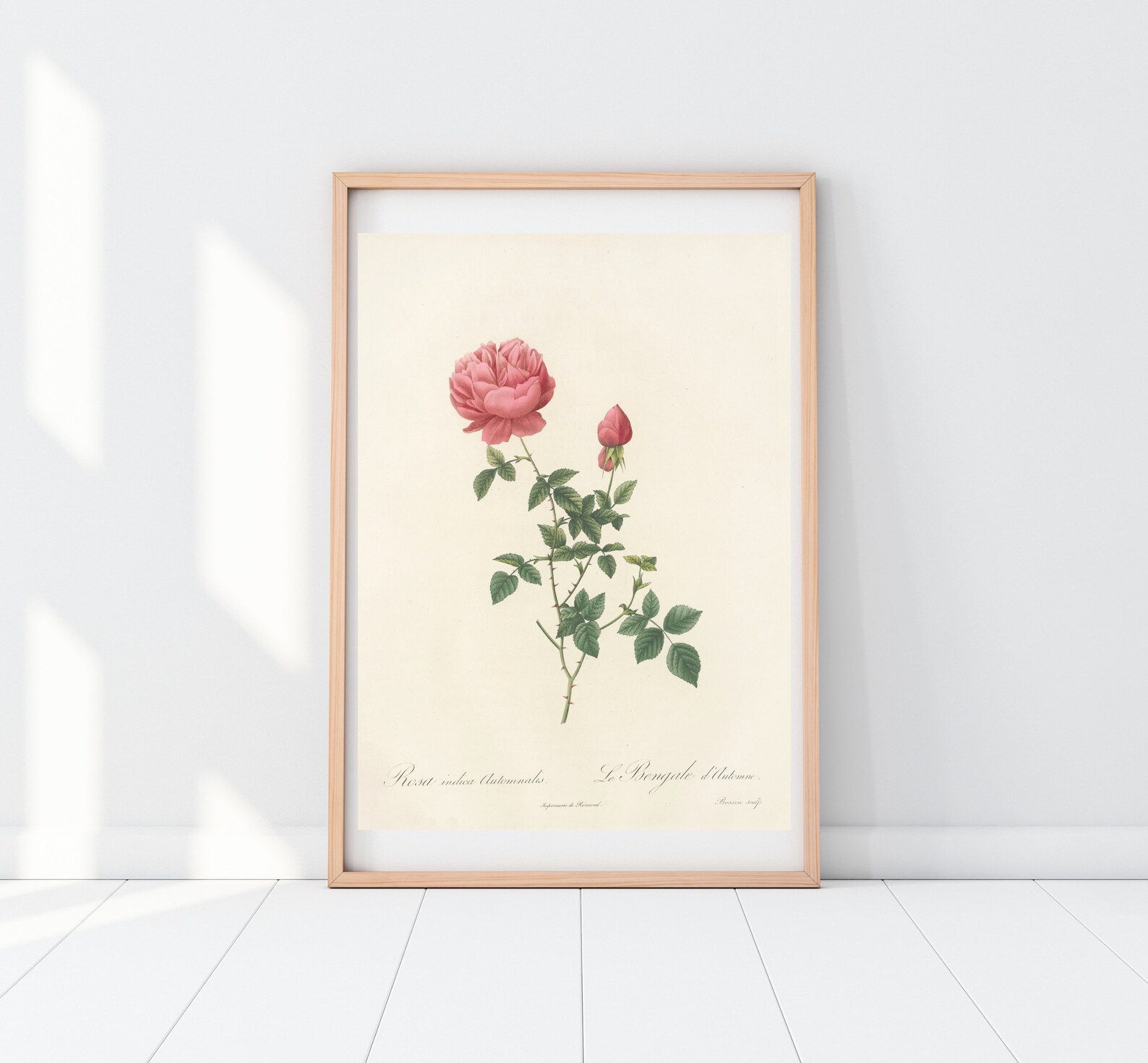 Pretty in Pink Vintage Fine Art Print Poster Digital Download Decor ...