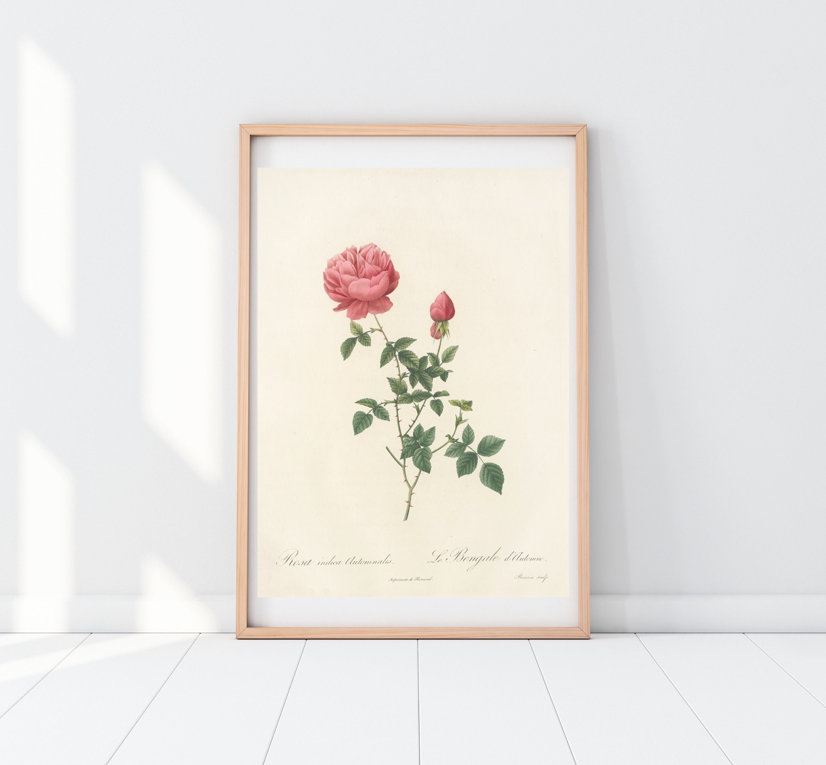 Pretty in Pink Vintage Fine Art Print Poster Digital Download Decor ...