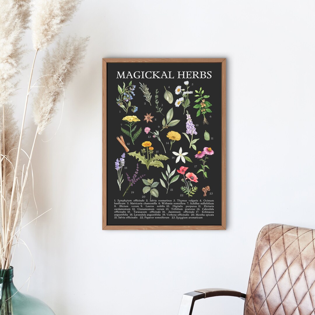 Vintage Magickal Herbs Poster, Green Witch Aesthetic Wall Art ...