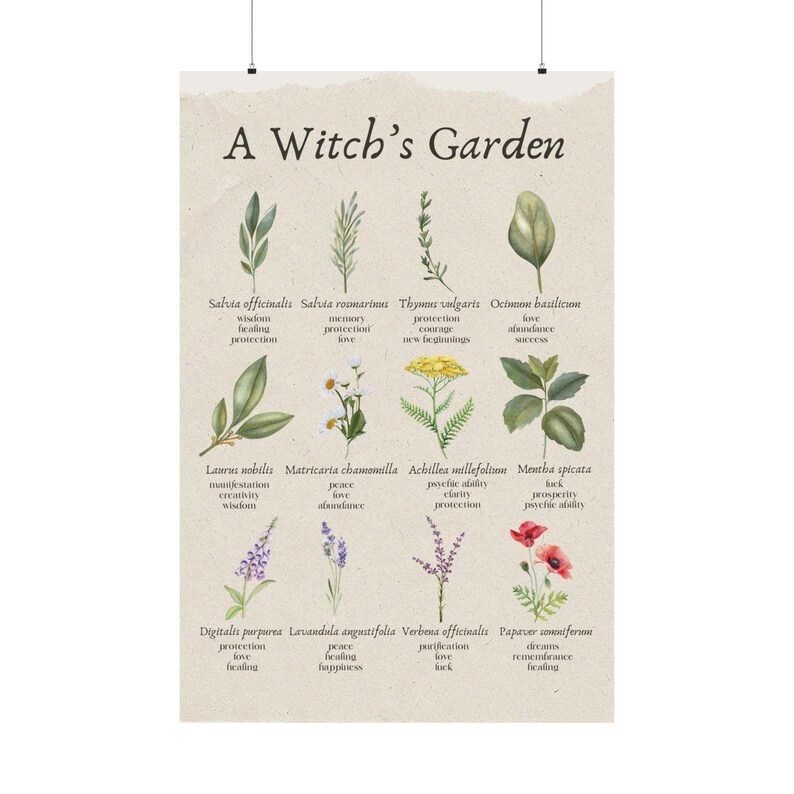 Witchy Herb Garden Poster, Green Witch Aesthetic Wall Art, Herbology ...