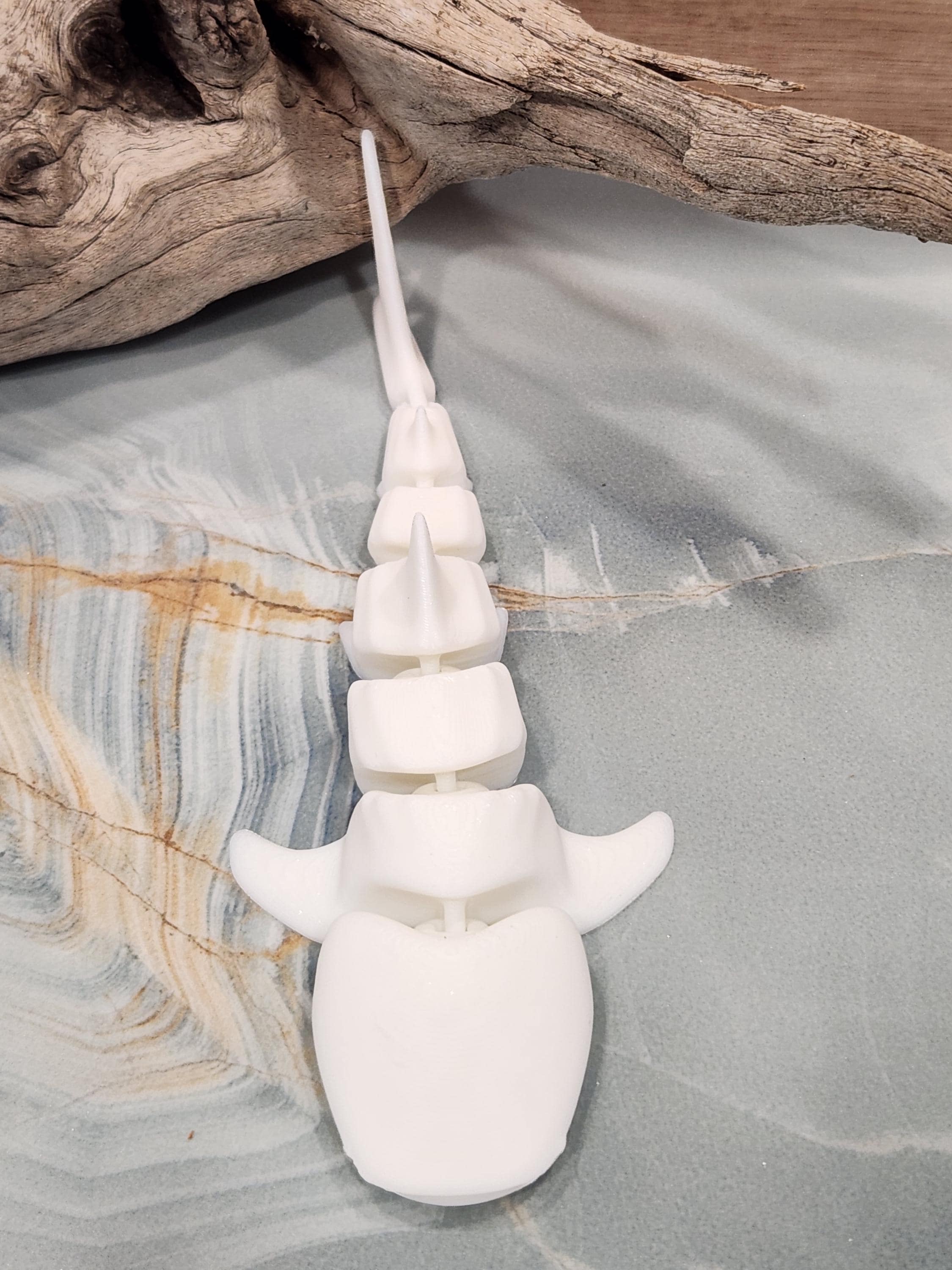 3D Printed Whale Shark, Fidget Fish,3d Printed Fish, Whale Shark ...