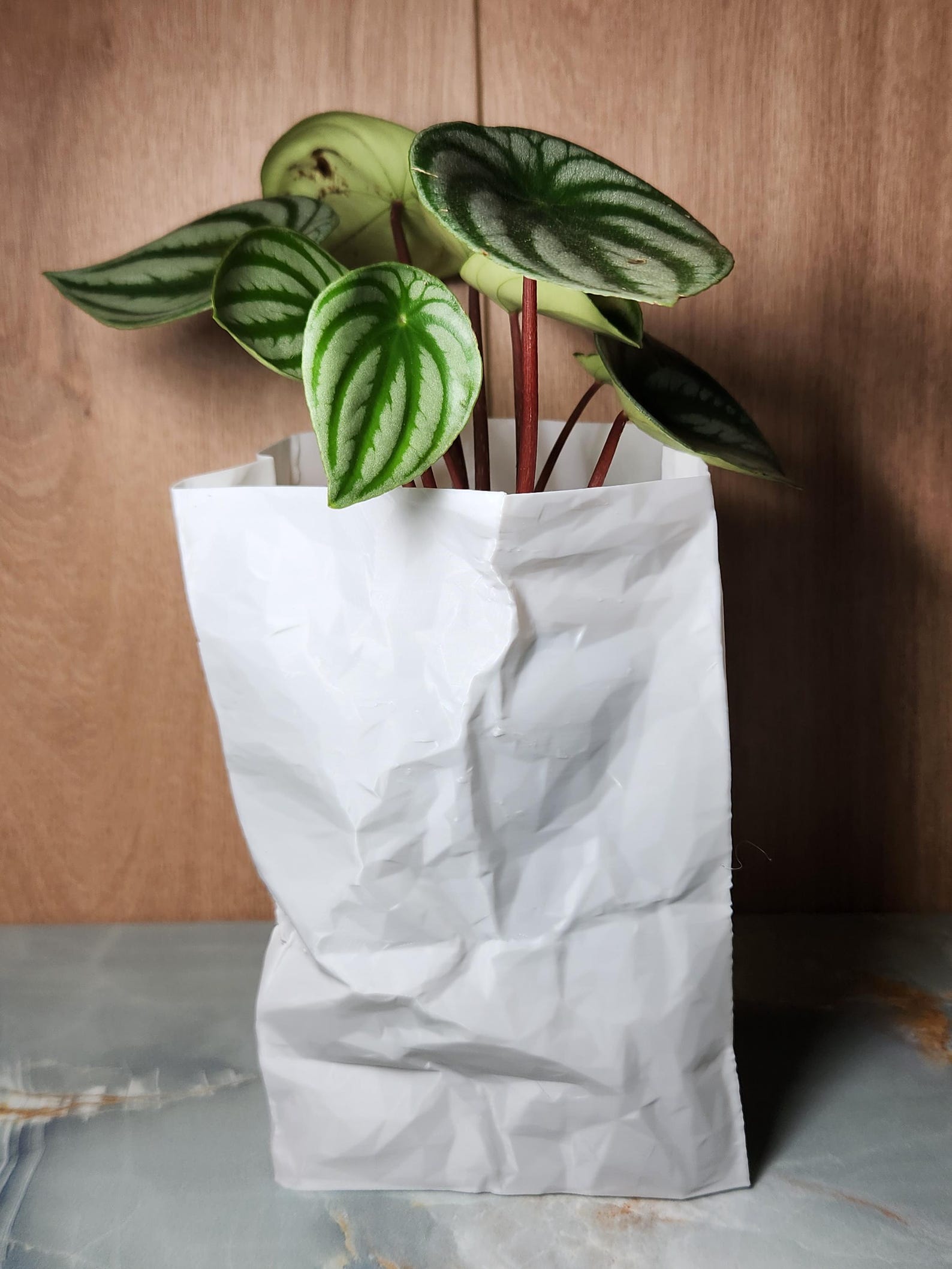 3D Printed Crinkled Paper Bag - Decorative and Versatile Use, Gift Bag ...