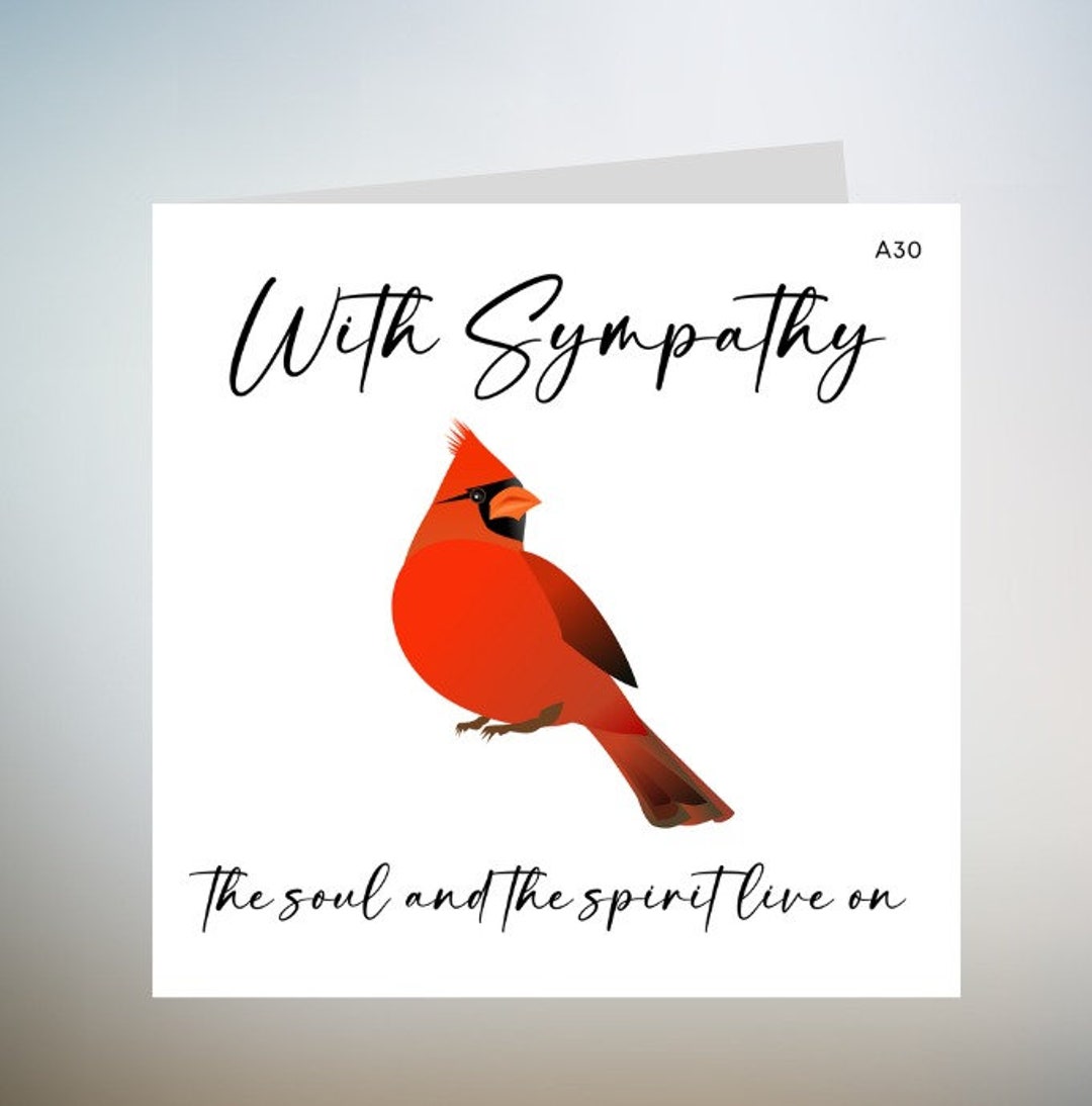 Robin Condolence Card, Deepest Sympathy, Sorry for Your Loss ...