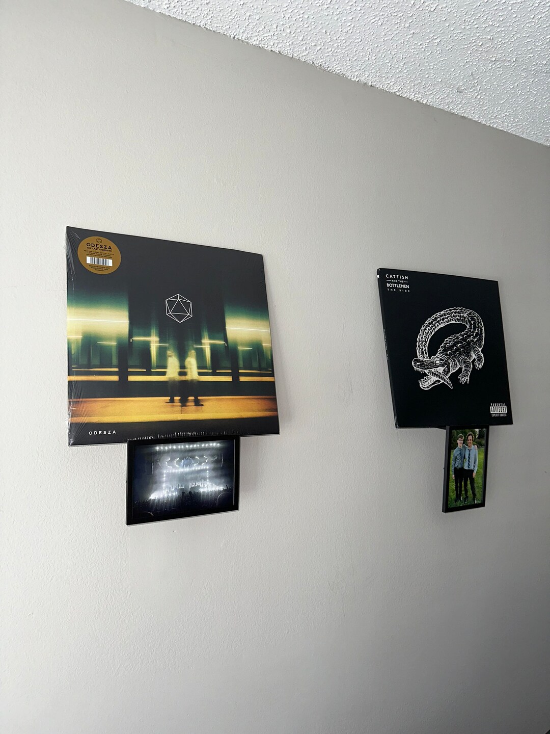 Record Display | Album Wall Mount Display | Picture Frame Display I ...
