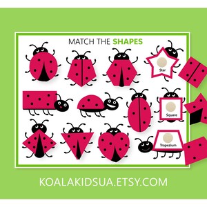 Ladybug 2D Match the Shapes | Spring Busy Book Page | File Folder Games ...