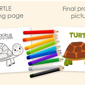 Land Turtle Craft for Kids | Pets Activities | Cut & Paste | Printable ...
