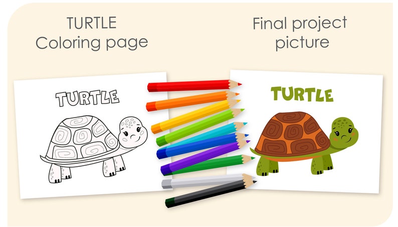 Land Turtle Craft for Kids | Pets Activities | Cut & Paste | Printable ...