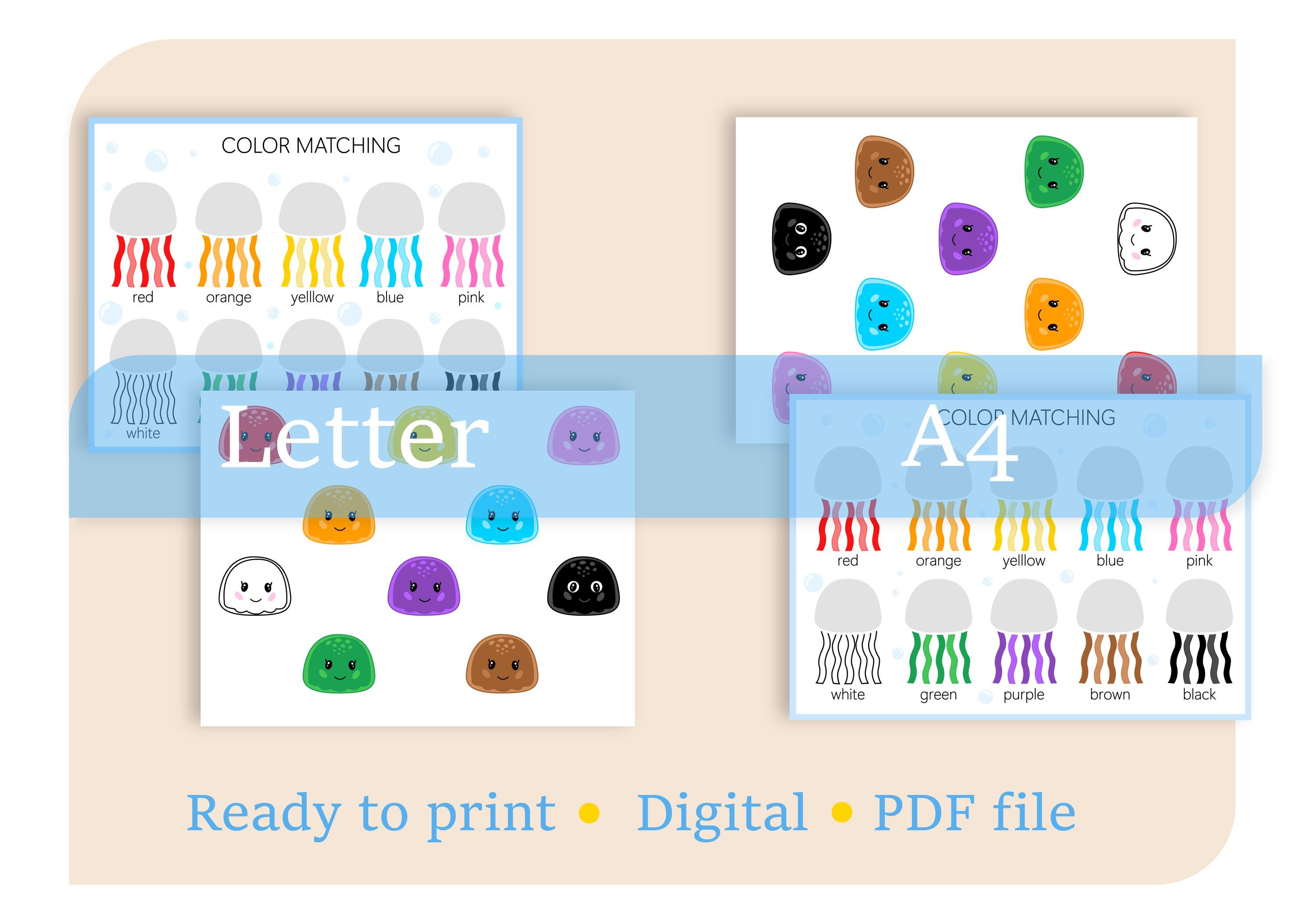 Matching Color | Colored Jellyfish | Sorting KIDS Toddler Game | Summer ...