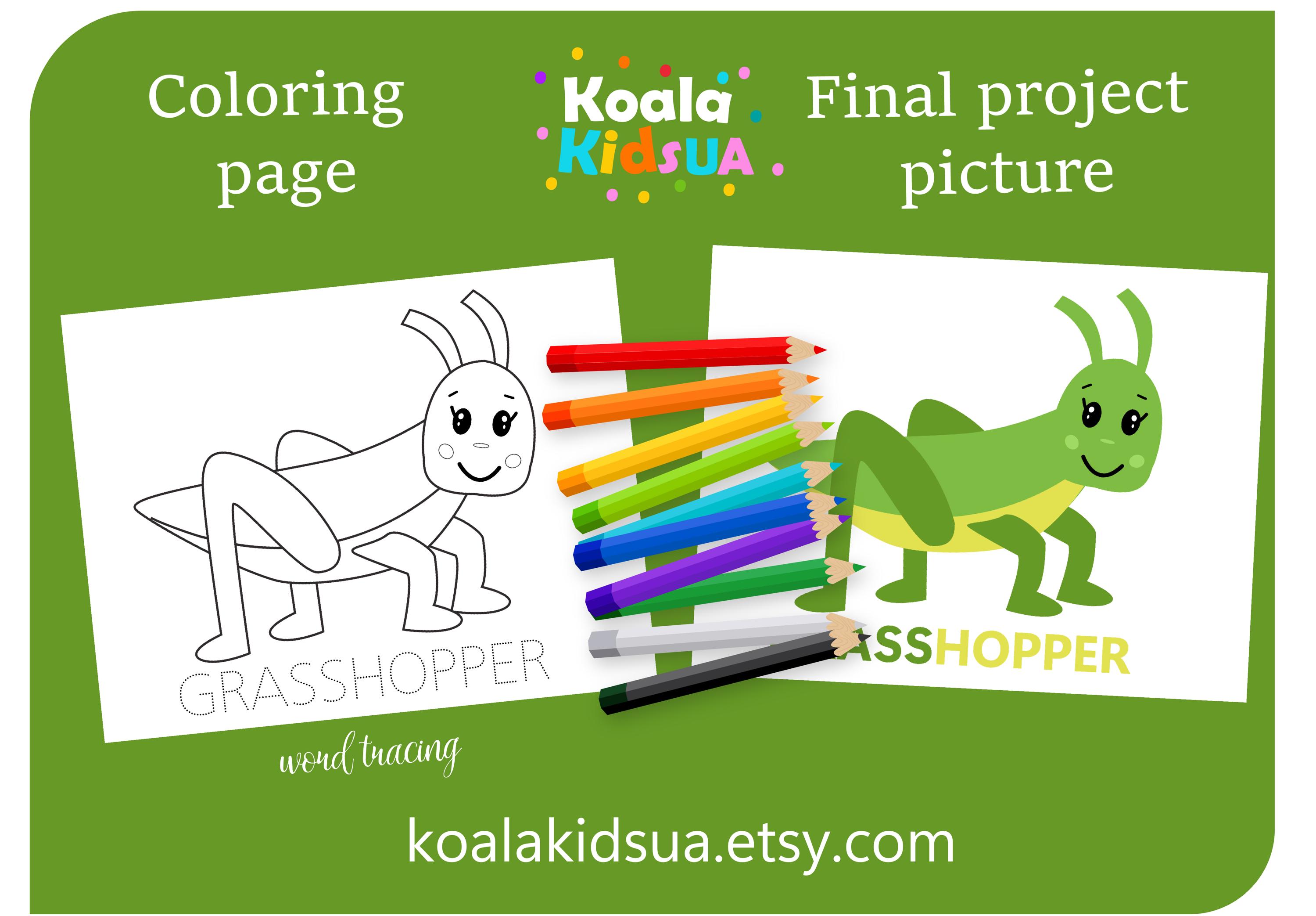 Build a Grasshopper Cut Out and Paste | Paper Insects Bugs Template ...