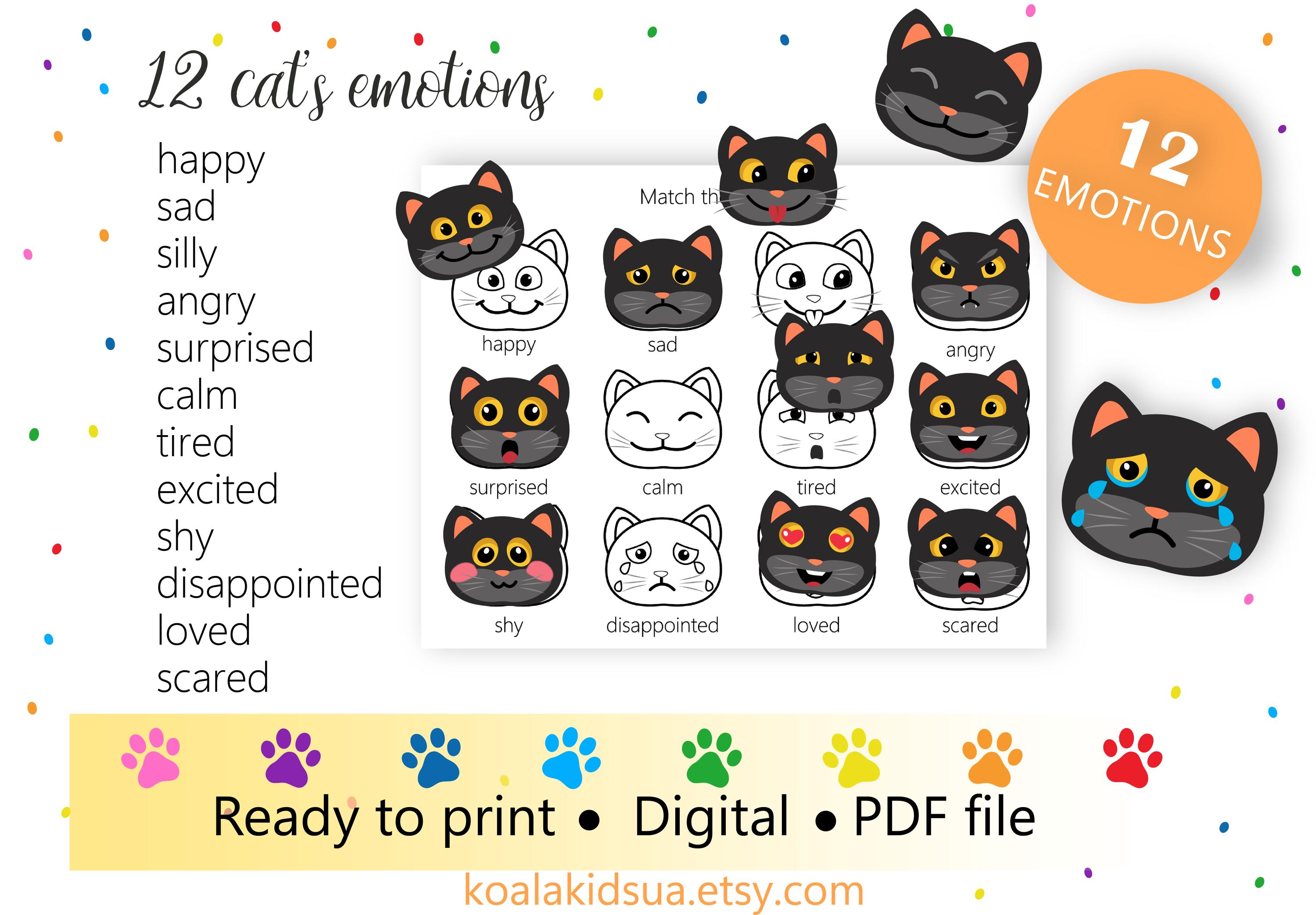 Cat's Emotions and Feelings | Matching Activity for Kids Preschool ...