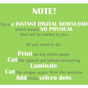 Ladybug 2D Match the Shapes | Spring Busy Book Page | File Folder Games ...