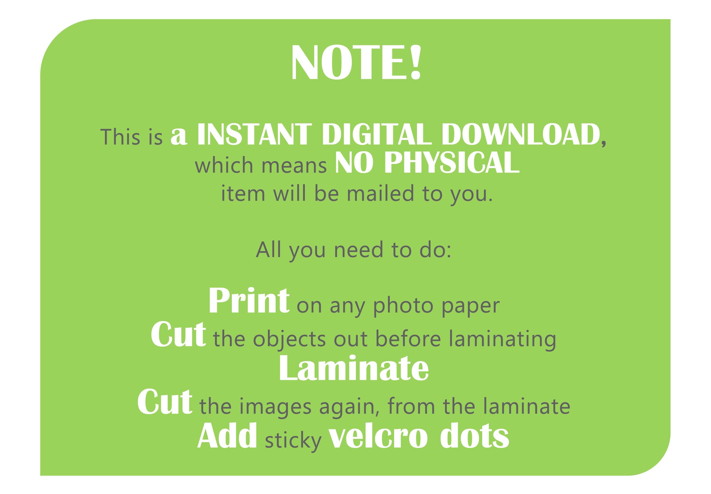 Ladybug 2D Match the Shapes | Spring Busy Book Page | File Folder Games ...