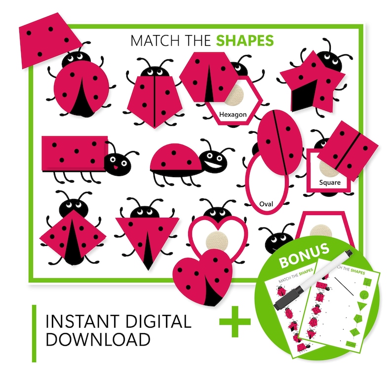 Ladybug 2D Match the Shapes | Spring Busy Book Page | File Folder Games ...