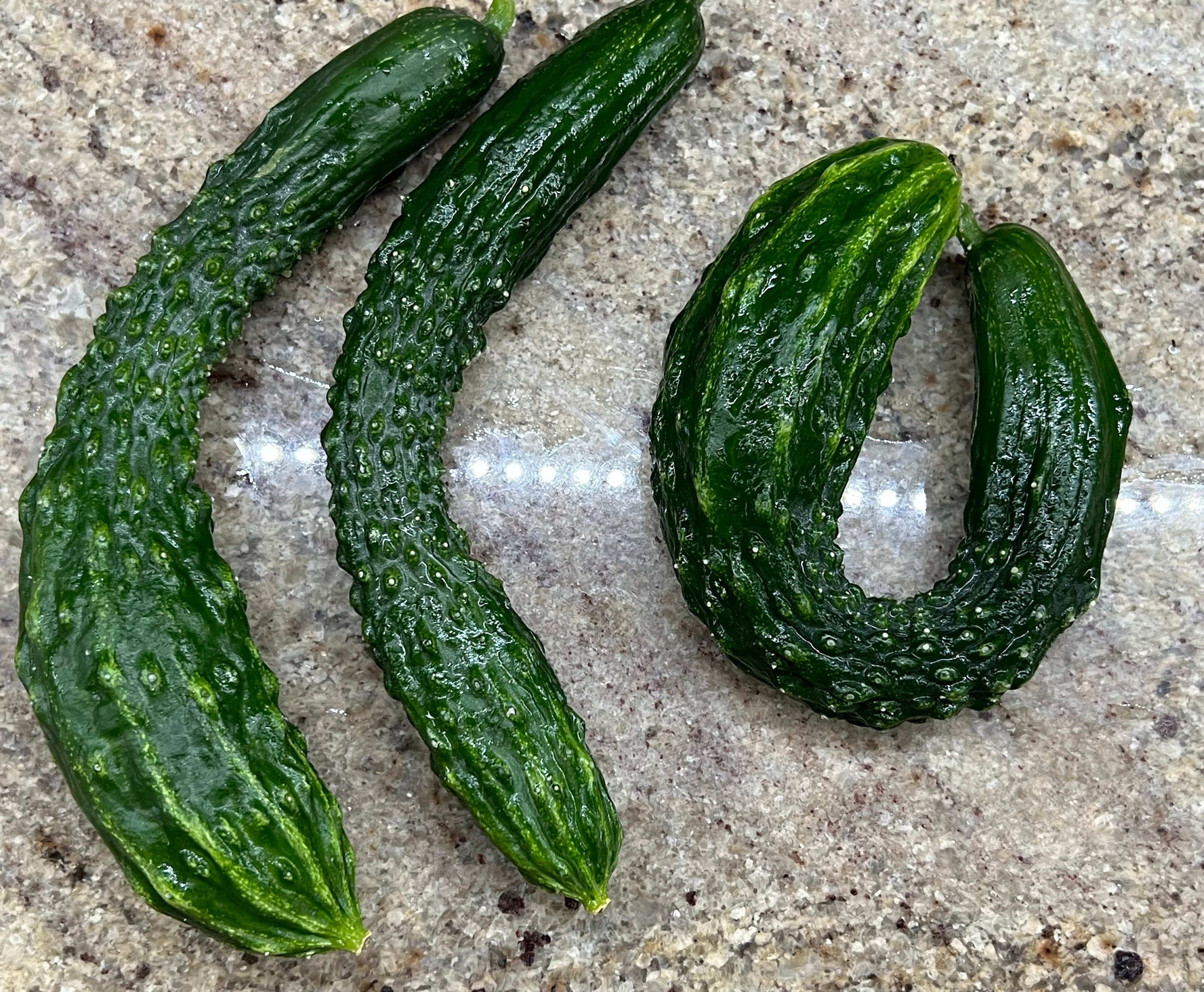 Suyo Long Cucumber Seeds | Heirloom - Etsy