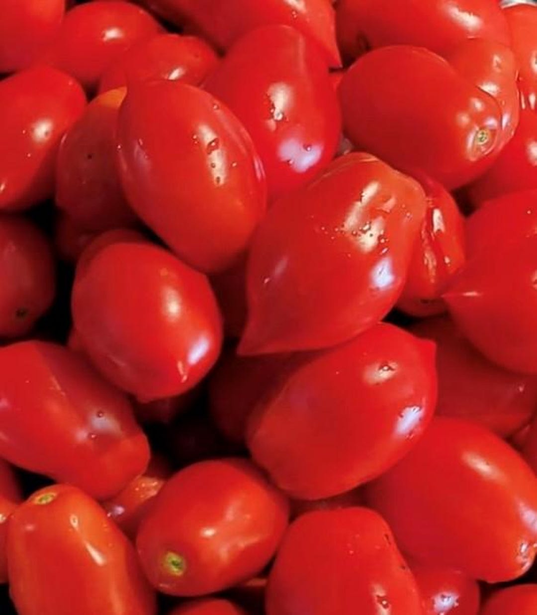 Ropreco Paste Tomato Seeds | Heirloom - Etsy