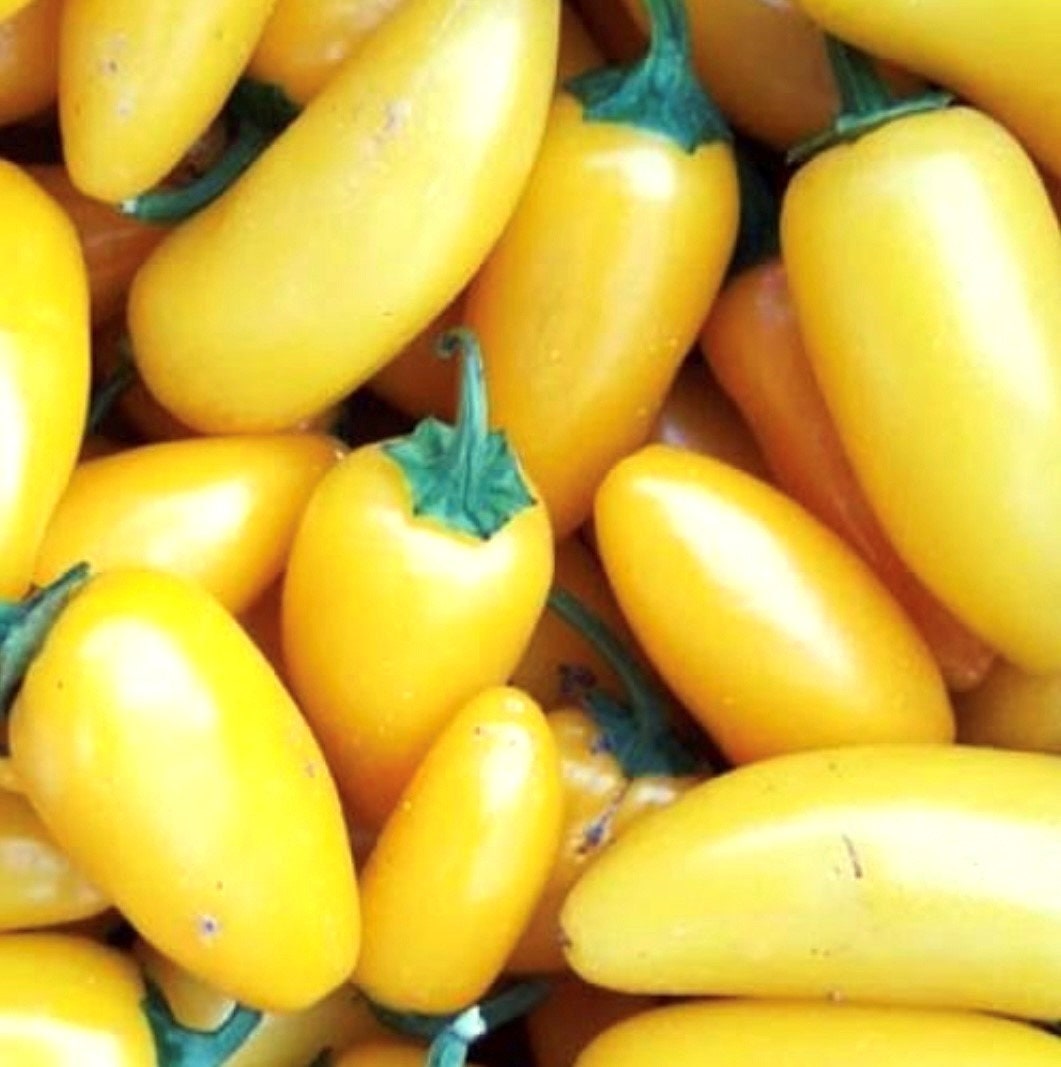 Lemon Spice Jalapeno Pepper Seeds - Etsy