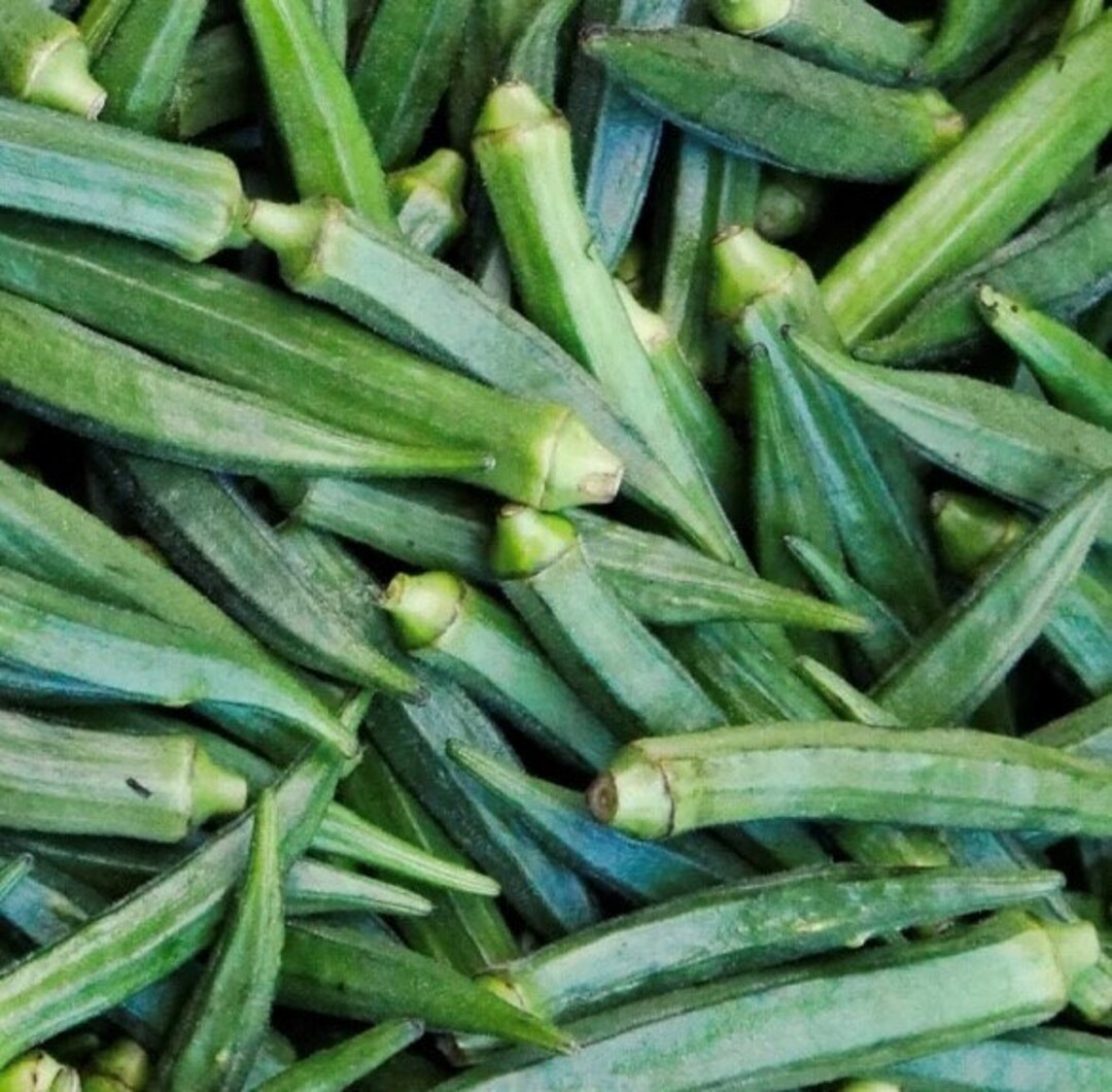 Perkins Long Okra Seeds | Heirloom - Etsy