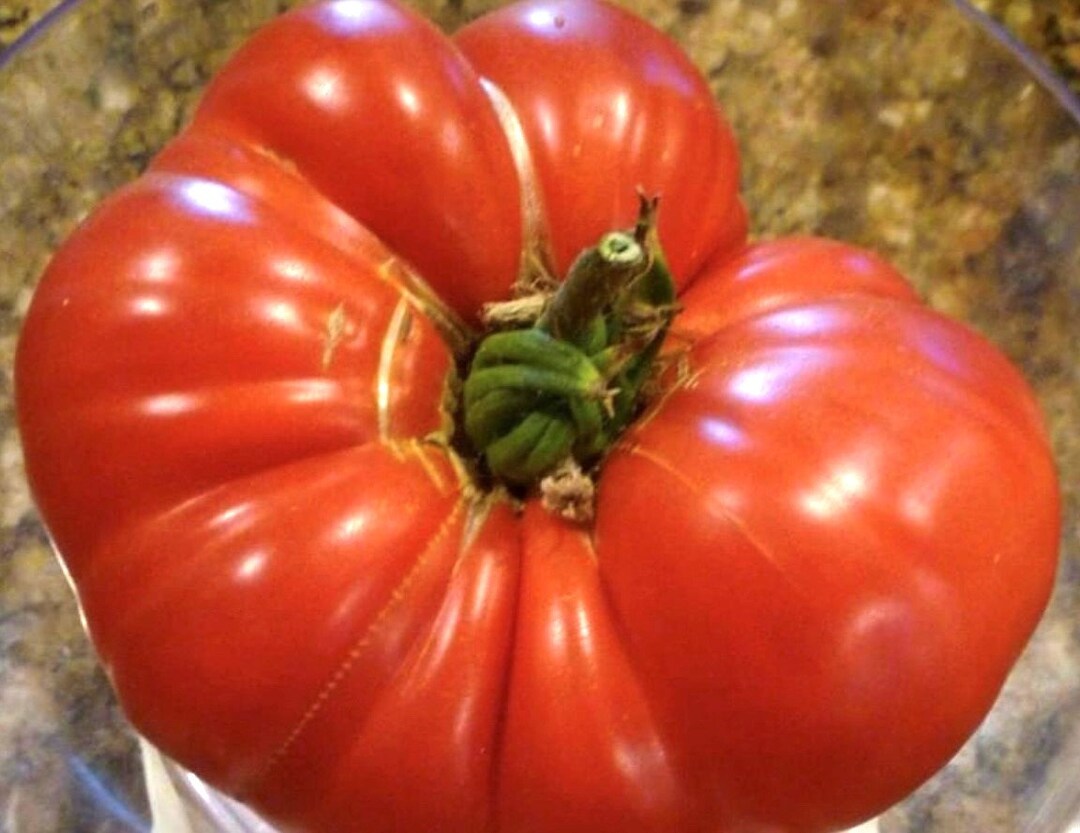 Watermelon Beefsteak Tomato Seeds | Heirloom - Etsy