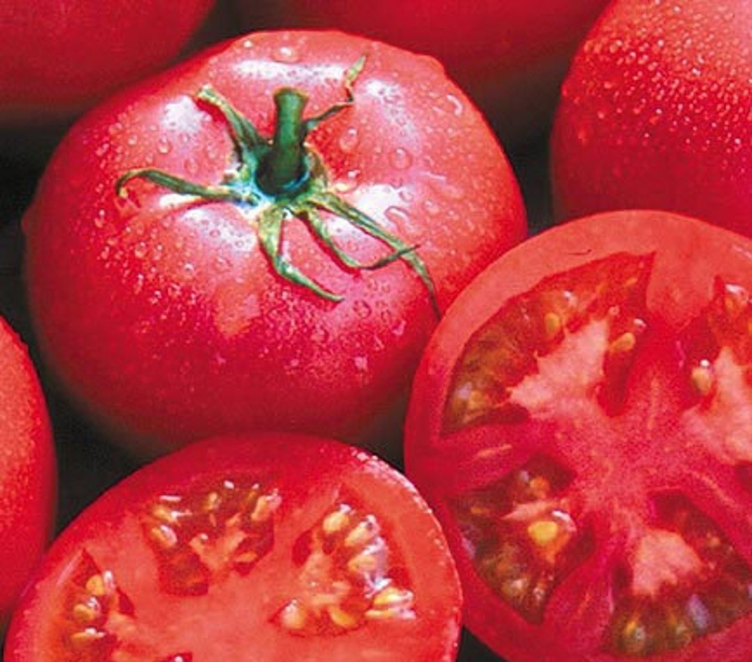Eva Purple Ball Tomato Seeds | Heirloom - Etsy