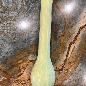 Tromboncino (zucchini Rampicante) Squash Seeds | Heirloom | Organic - Etsy