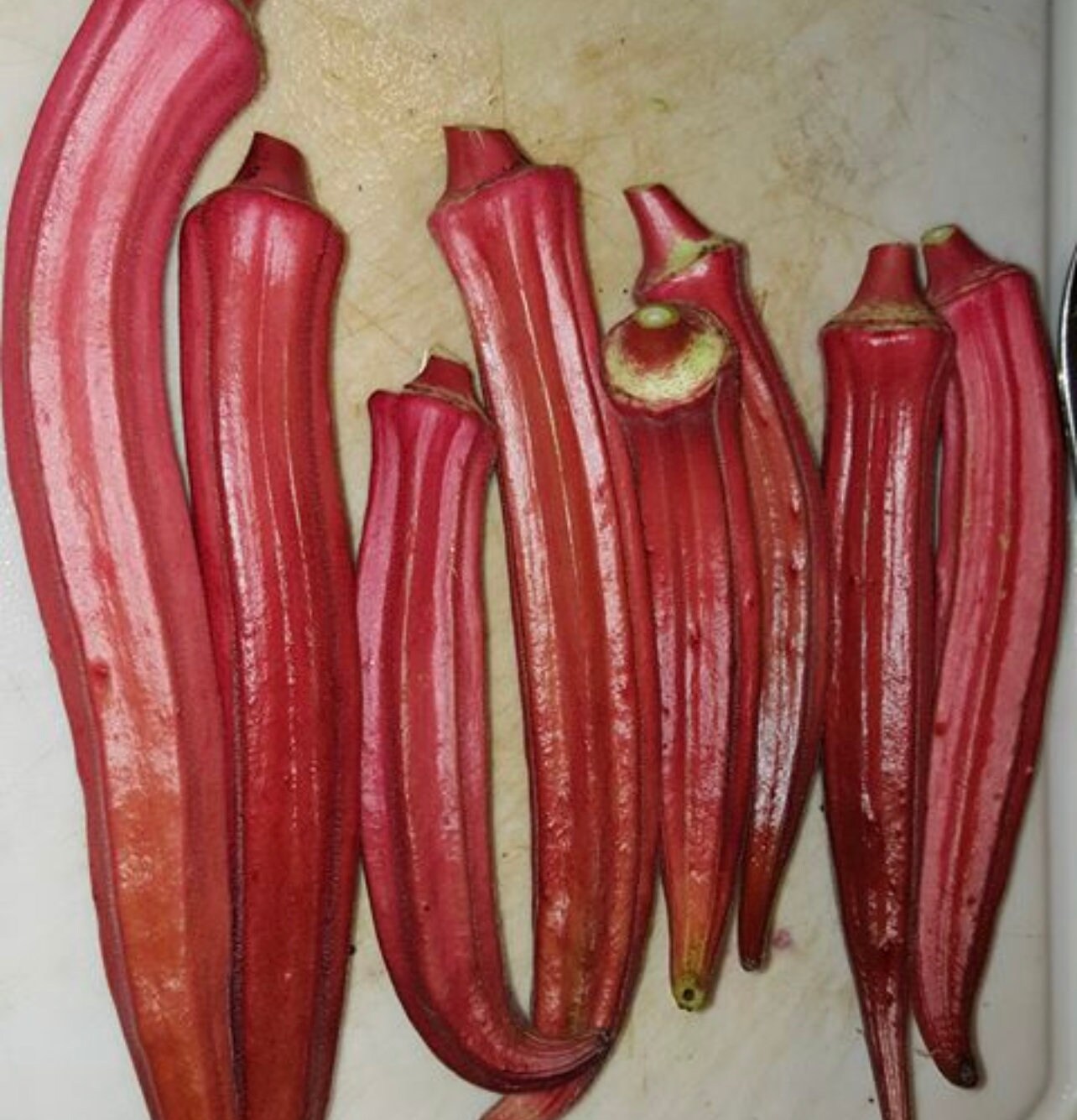 Jing Orange Okra Seeds - Etsy