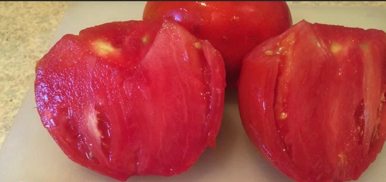 Amish Paste Tomato Seeds | Heirloom | Organic - Etsy