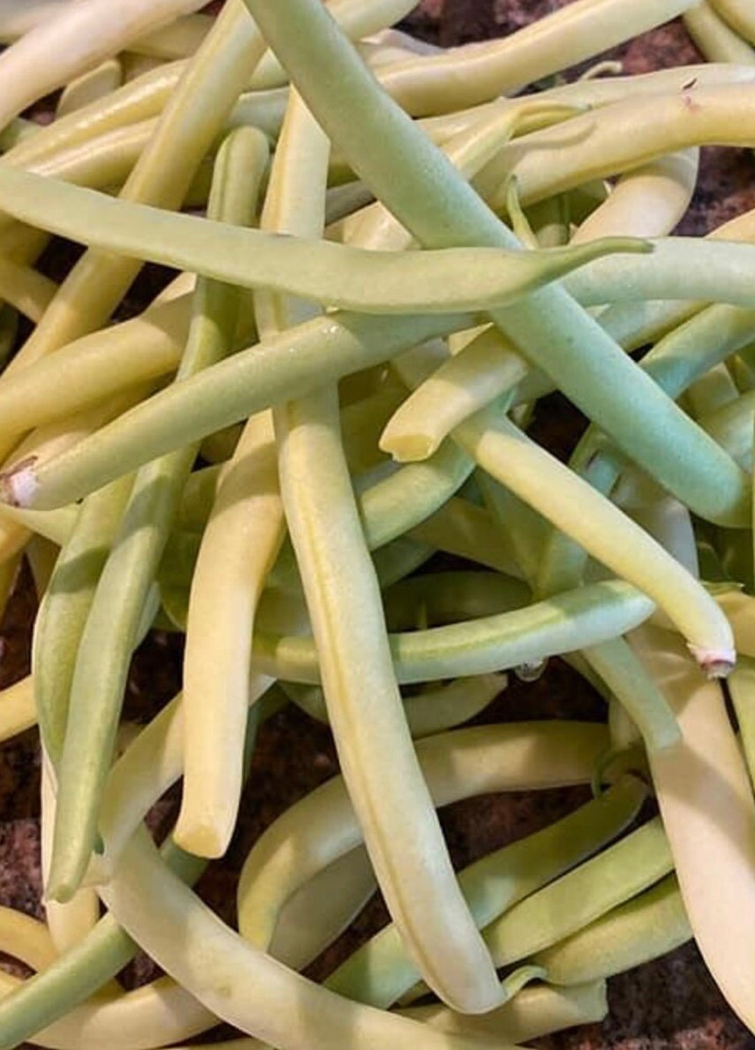 Cherokee Wax Yellow Bean Seeds | Heirloom | Organic - Etsy