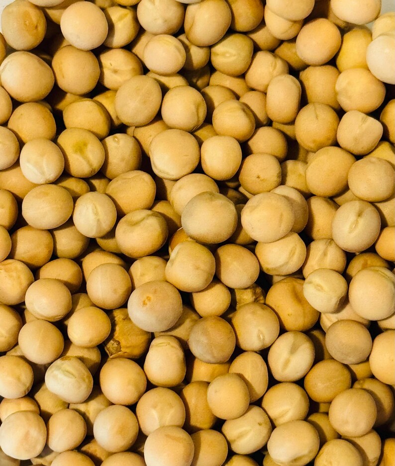 Patio Pride (dwarf) Pea Seeds - Etsy Canada