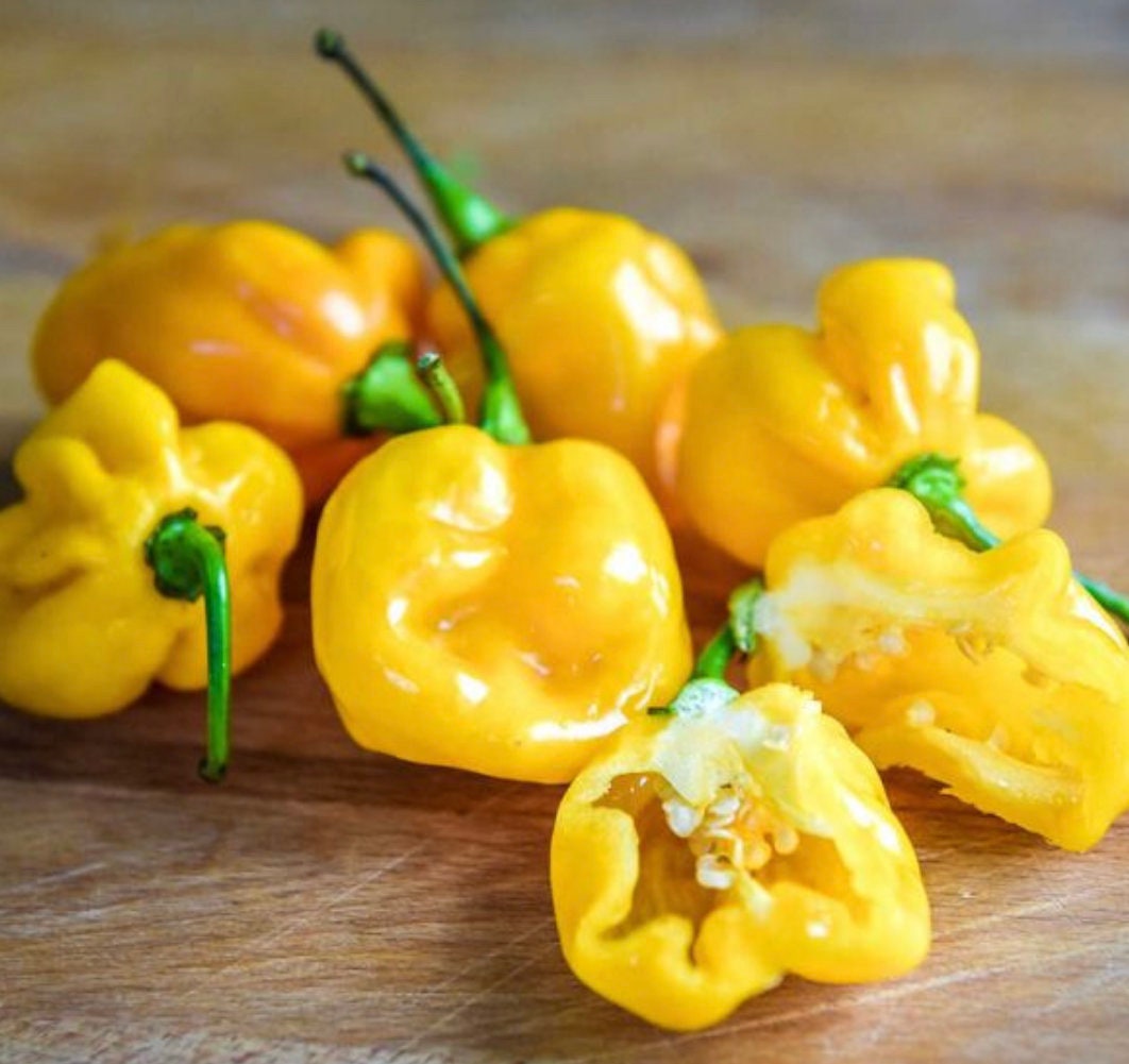Caribbean Yellow Habanero Pepper Seeds Hot - Etsy