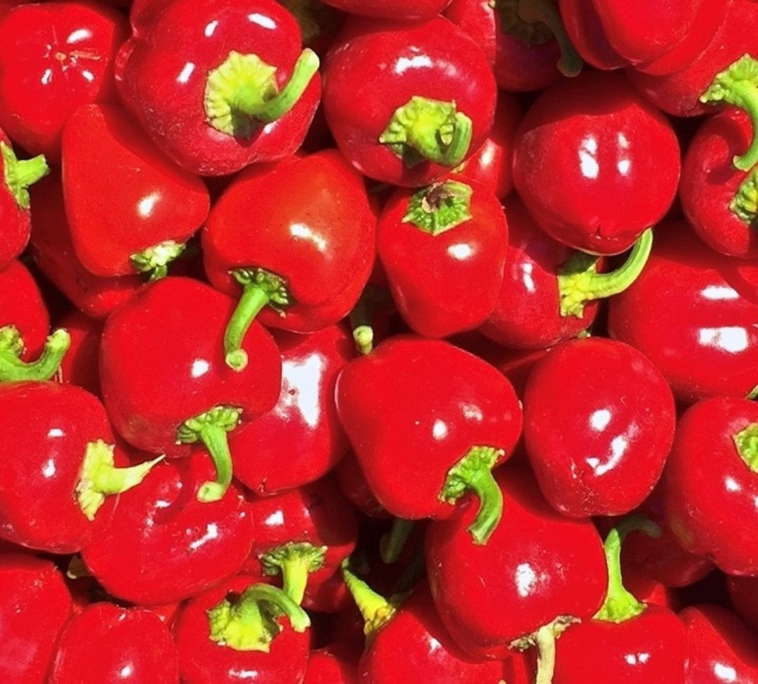 Mini Red Bell Pepper Seeds - Etsy