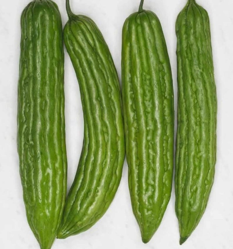 Green Skin Bitter Melon Seeds - Etsy