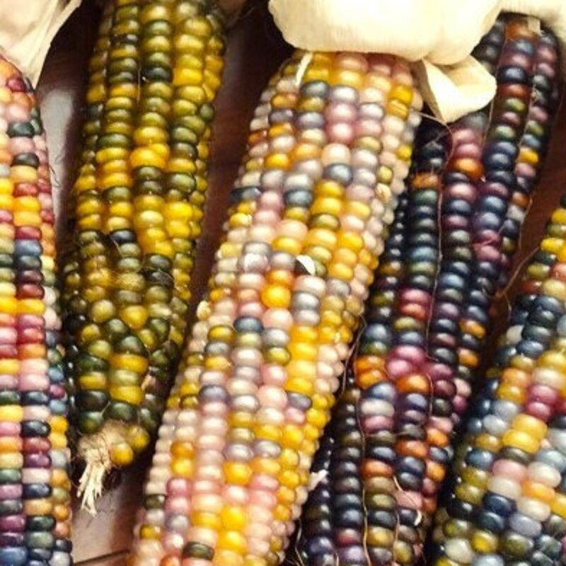 Glass Gem Corn - Etsy