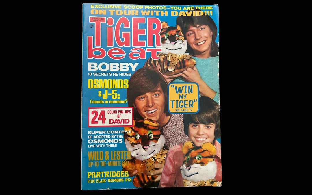 1971 TIGER BEAT Magazine | June 1971 | Bobby Sherman | Donny Osmond ...
