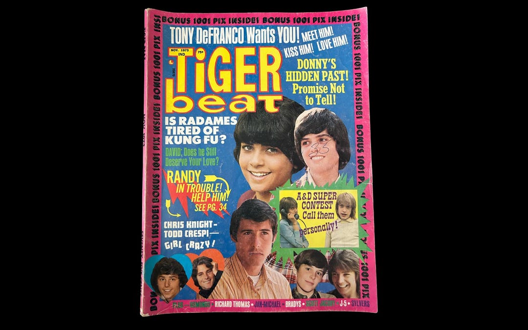 1973 TIGER BEAT Magazine | November 1973 | David Cassidy | Donny ...