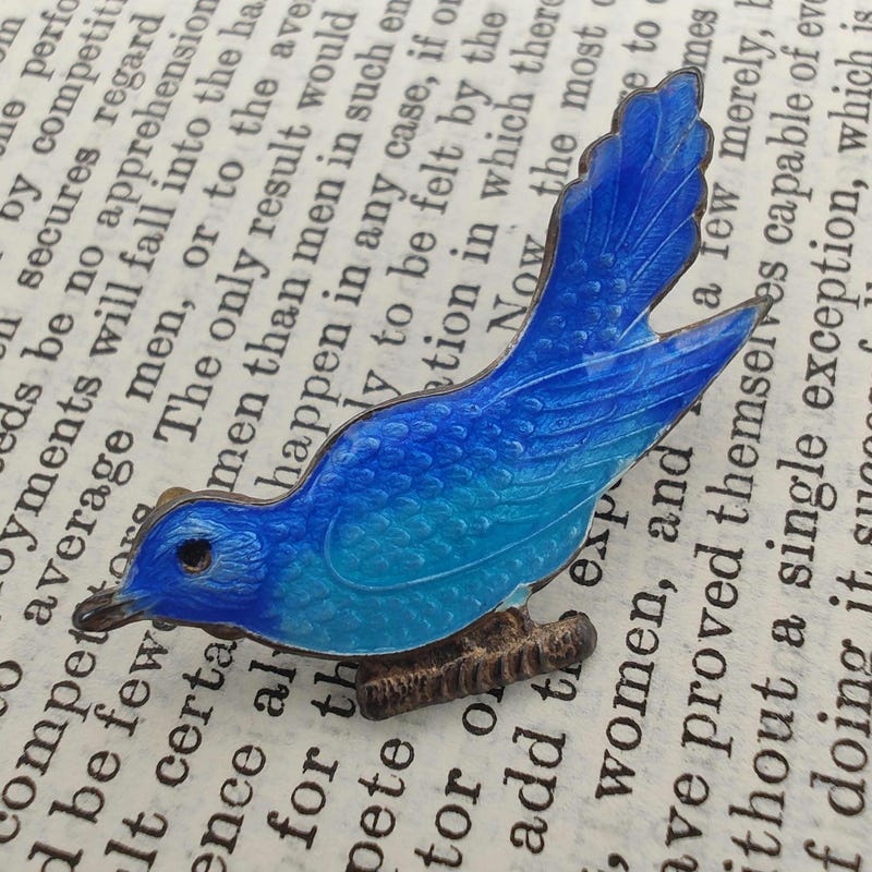 Bluebird Brooch - Etsy