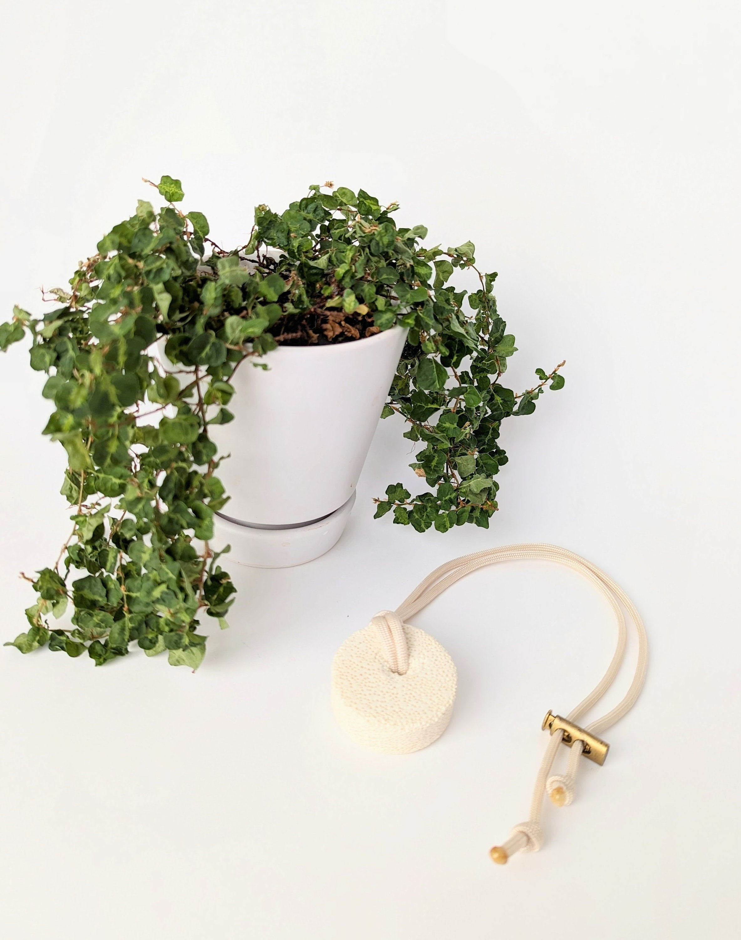 Lava Stone Hanging Shower Diffuser for Essential Oils, Natural Stone ...