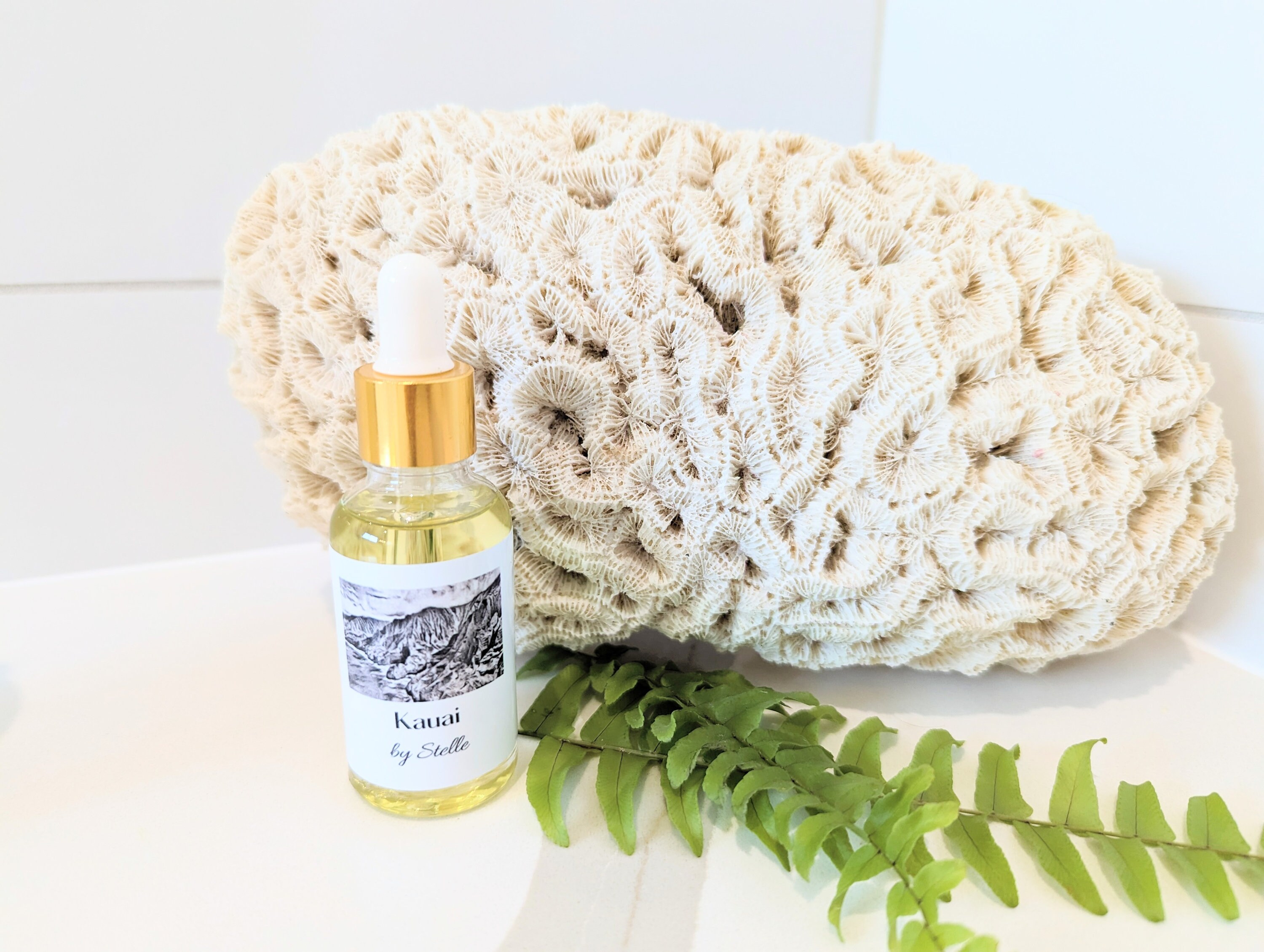 Kauai -shower Diffuser Stone, Lava Stone Shower Diffuser, Essential Oil ...