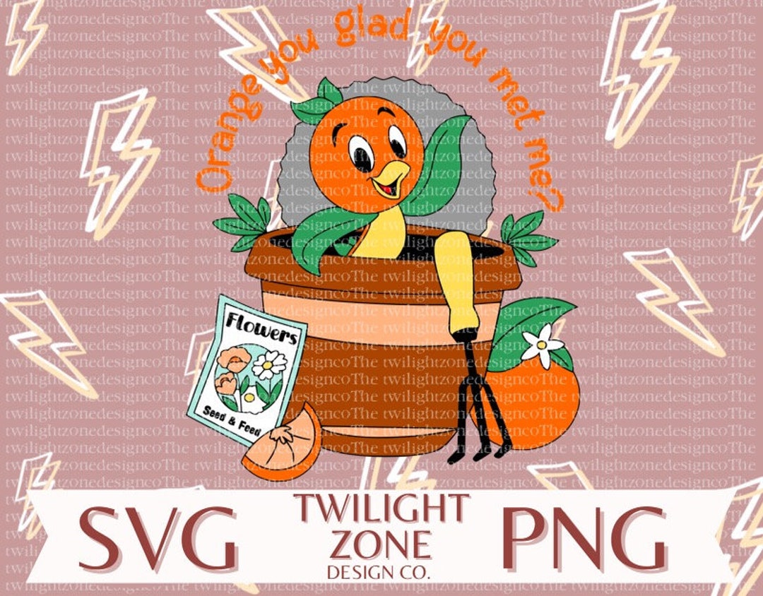 Orange You Glad? SVG | Easy Cut File for Cricut, Layered by Colour. PNG ...