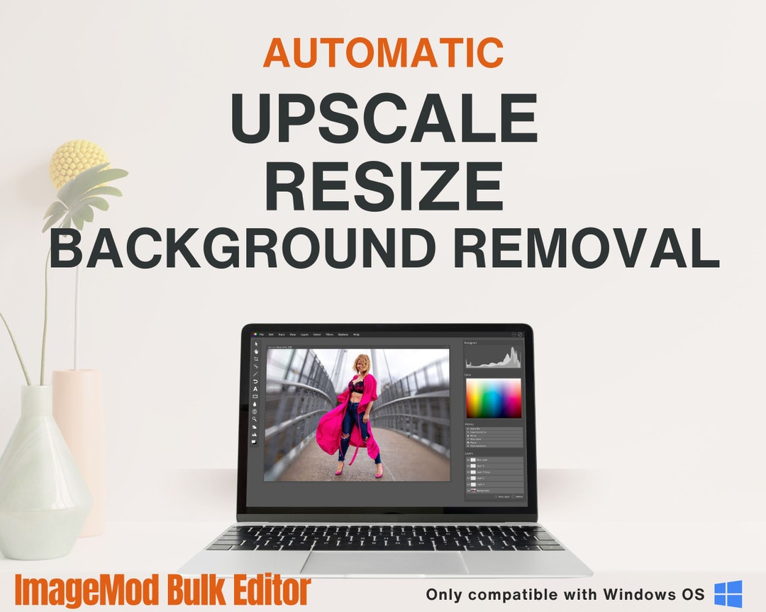 Bulk Image Upscaler, Resizer, Background Remover. Program for Increasing DPI, Resizing Batch ...